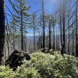 Natural Rock Arch Trail, Oregon - 217 Reviews, Map | AllTrails