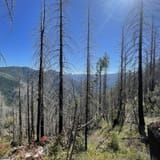 Natural Rock Arch Trail, Oregon - 217 Reviews, Map | AllTrails