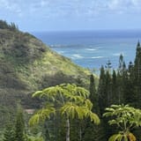 Hauʻula Loop, Oahu, Hawaii - 2,344 Reviews, Map | AllTrails