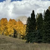 Engineer Mountain Trail, Colorado - 344 Reviews, Map | AllTrails