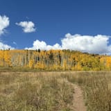 Engineer Mountain Trail, Colorado - 344 Reviews, Map | AllTrails