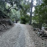 Stoddard Peak, California - 2,479 Reviews, Map | AllTrails