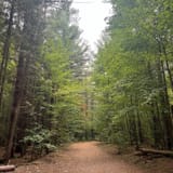 Midhurst Trail , Ontario, Canada - 1,544 Reviews, Map | AllTrails