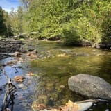 Midhurst Trail , Ontario, Canada - 1,544 Reviews, Map | AllTrails