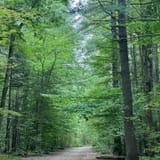 Midhurst Trail , Ontario, Canada - 1,544 Reviews, Map | AllTrails