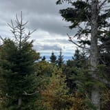 Mount Shaw and Black Snout, New Hampshire - 636 Reviews, Map | AllTrails