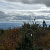 Mount Shaw and Black Snout, New Hampshire - 634 Reviews, Map | AllTrails