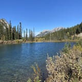 Mount Lorette Pond Trail, Alberta, Canada - 235 Reviews, Map | AllTrails