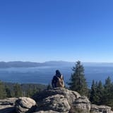 Tahoe Rim Trail to Picnic Rock Viewpoint, California - 3,740 Reviews, Map | AllTrails