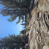 Chickadee Ridge via Tahoe Rim Trail, Nevada - 2,877 Reviews, Map ...