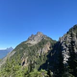 Mount Forgotten Meadows Trail, Washington - 353 Reviews, Map | AllTrails