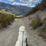 Lead King Basin and Crystal Mill Loop, Colorado - 190 Reviews, Map ...