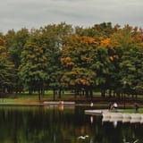 Mount Royal Park Loop, Quebec, Canada - 2,256 Reviews, Map | AllTrails