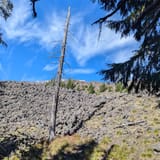 June Lake Trail, Washington - 845 Reviews, Map | AllTrails
