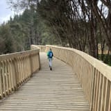 Cossey Massey Loop Track, Auckland, New Zealand - 889 Reviews, Map ...