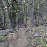 Inspiration Point Trail, California - 1,920 Reviews, Map | AllTrails