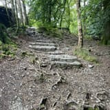 Orrest Head Circular, Cumbria, England - 1,754 Reviews, Map | AllTrails
