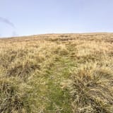 West Lomond Hill, Bunnet Stane, and John Knox's Pulpit Circular, Fife ...