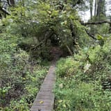 Core Creek Park Trail, Pennsylvania - 1,660 Reviews, Map | AllTrails