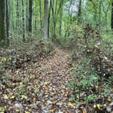 Core Creek Park Trail, Pennsylvania - 1,660 Reviews, Map | AllTrails