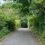 Paumanok Path, New York - 126 Reviews, Map | AllTrails