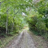 Paumanok Path, New York - 126 Reviews, Map | AllTrails