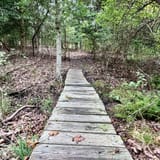 Paumanok Path, New York - 126 Reviews, Map | AllTrails