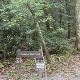 Diamond Point Overlook via Endless Wall Trail, West Virginia - 2,420 ...