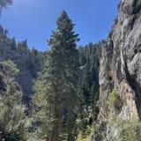 Fletcher Canyon Trail, Nevada - 3,220 Reviews, Map | AllTrails