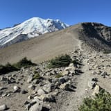 Burroughs Mountain Loop Trail, Washington - 2,784 Reviews, Map | AllTrails