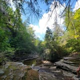Cane Creek Falls and Suspension Bridge, Tennessee - 601 Reviews, Map ...