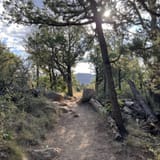 Fatmans Loop Trail, Arizona - 5,937 Reviews, Map | AllTrails