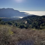 Ocean Overlook Loop, California - 1,070 Reviews, Map | AllTrails