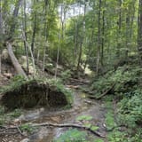 6 Ravine Challenge, Indiana - 1,163 Reviews, Map | AllTrails
