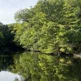 6 Ravine Challenge, Indiana - 1,163 Reviews, Map | AllTrails