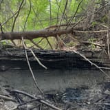 6 Ravine Challenge, Indiana - 1,163 Reviews, Map | AllTrails