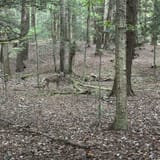 Sprague Brook Park Trail, New York - 1,461 Reviews, Map | AllTrails