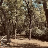 Spring Creek Nature Area Trail, Texas - 998 Reviews, Map | AllTrails
