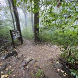 Bear's Den Park Trail, Virginia - 3,006 Reviews, Map | AllTrails
