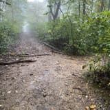 Bear's Den Park Trail, Virginia - 3,006 Reviews, Map | AllTrails