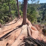 Red Bluff, Mississippi - 446 Reviews, Map | AllTrails