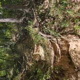 Red Bluff, Mississippi - 446 Reviews, Map | AllTrails