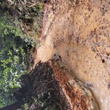 Red Bluff, Mississippi - 446 Reviews, Map | AllTrails