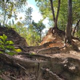 Red Bluff, Mississippi - 446 Reviews, Map | AllTrails