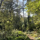Seahurst Park Loop Trail, Washington - 897 Reviews, Map | AllTrails