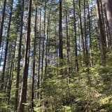 Quarry Rock Lookout from Deep Cove, British Columbia, Canada - 4,592 ...