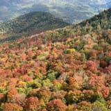 Rooster Comb Trail, New York - 1,420 Reviews, Map | AllTrails