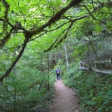 Watson Falls, Oregon - 1,303 Reviews, Map | AllTrails