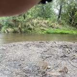 Speedwell Forge Hiking Trail, Pennsylvania - 1,196 Reviews, Map | AllTrails