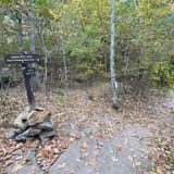 Scenic Trail Cut-off and Maiden Cliff Trail, Maine - 1,600 Reviews, Map ...
